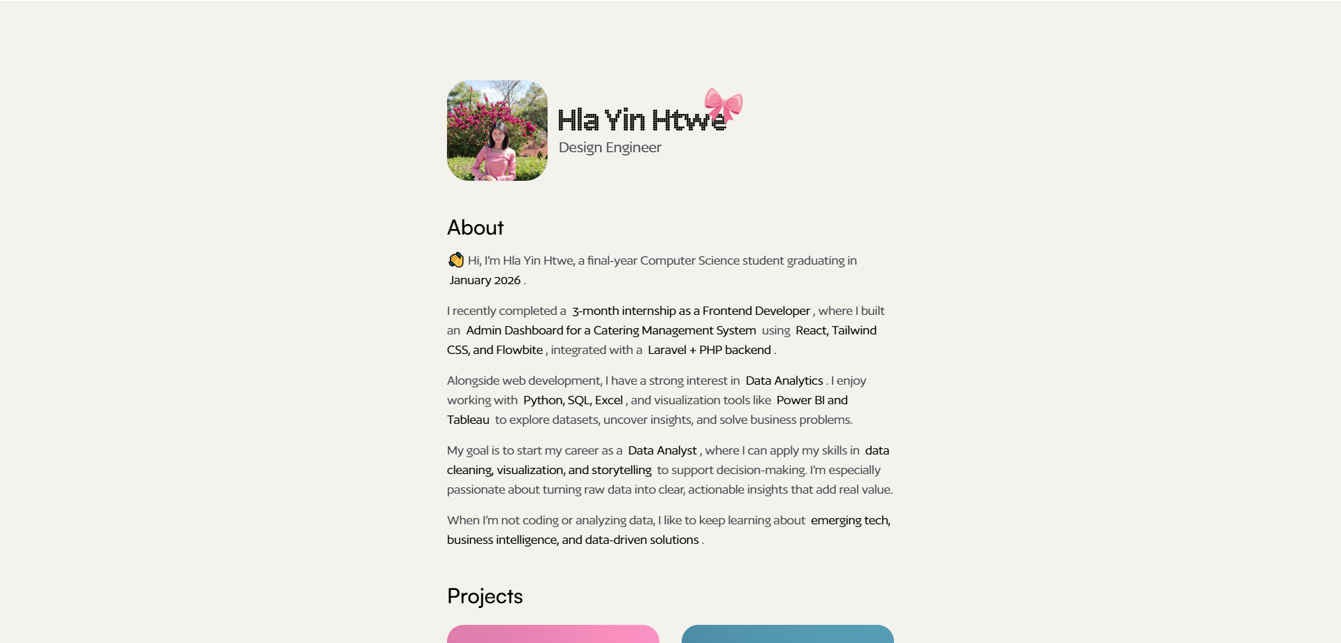 Hla Yin Htwe | Data Analyst & Frontend Developer Portfolio