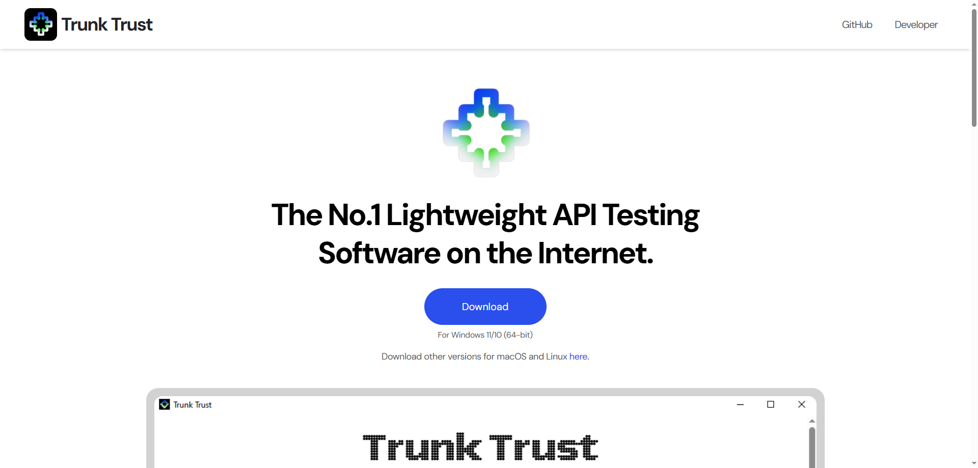 TrunkTrust — Lightweight Cross-Platform API Tester